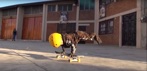 Alcancía CRIT Puebla 2020 | Alcancía Digital Teletón