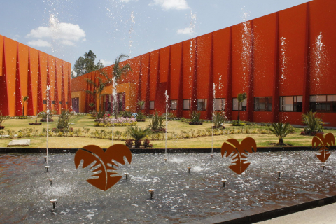 Alcancía CRIT Michoacán 2020 | Boteo Digital Teletón