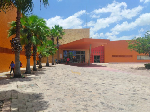 Alcancía CRIT Yucatán 2020 | Boteo Digital Teletón