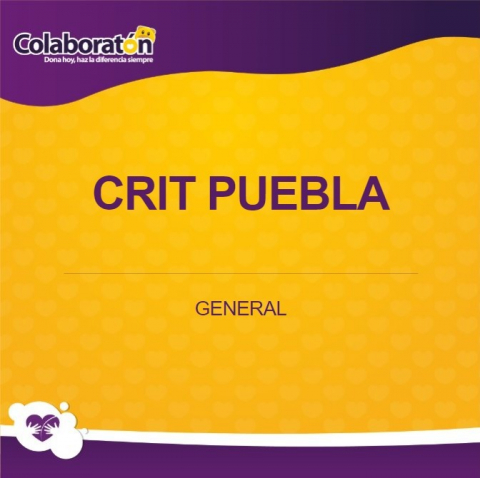 CRIT Puebla 2024 | Boteo Digital Teletón