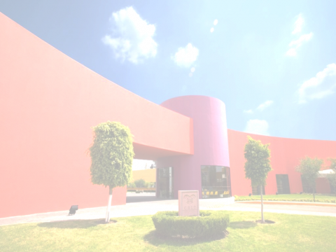 CRIT Guanajuato pone a México de Pie | Boteo Digital Teletón